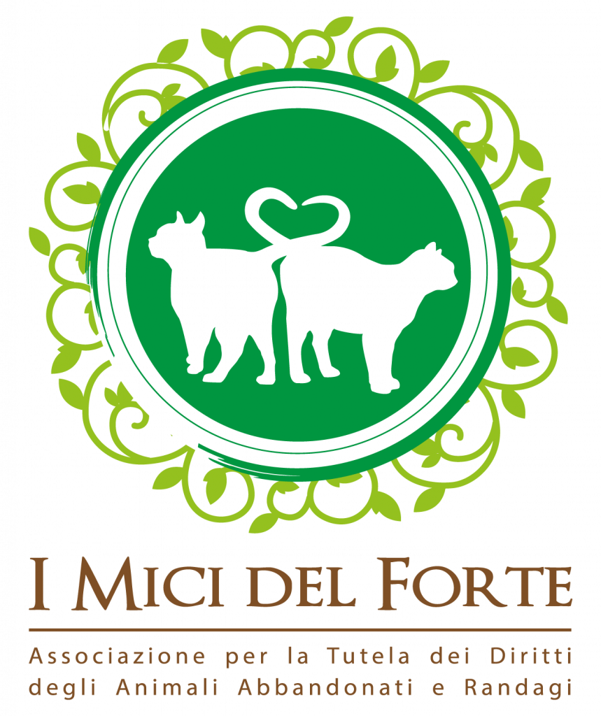 Sono presenti al Forte - Fondazione Forte Marghera